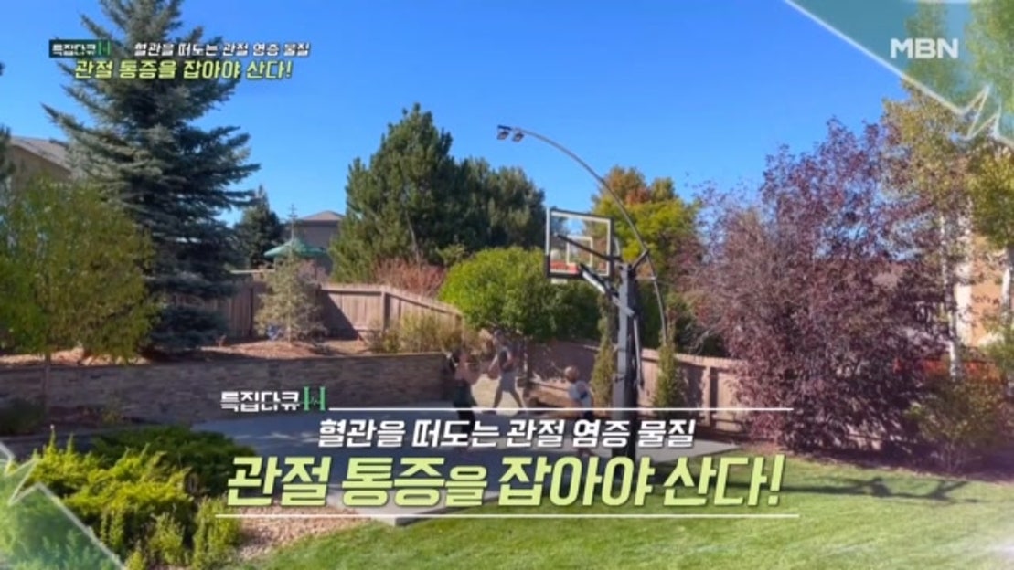 특집다큐H＜혈관을 떠도는 관절 염증 물질 관절 통증을 잡아야 산다!＞ MBN 231112 방송 - 네이버 TV