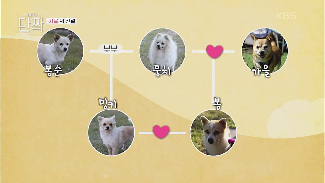 가을의 전설 | KBS 231111 방송 - 네이버 TV