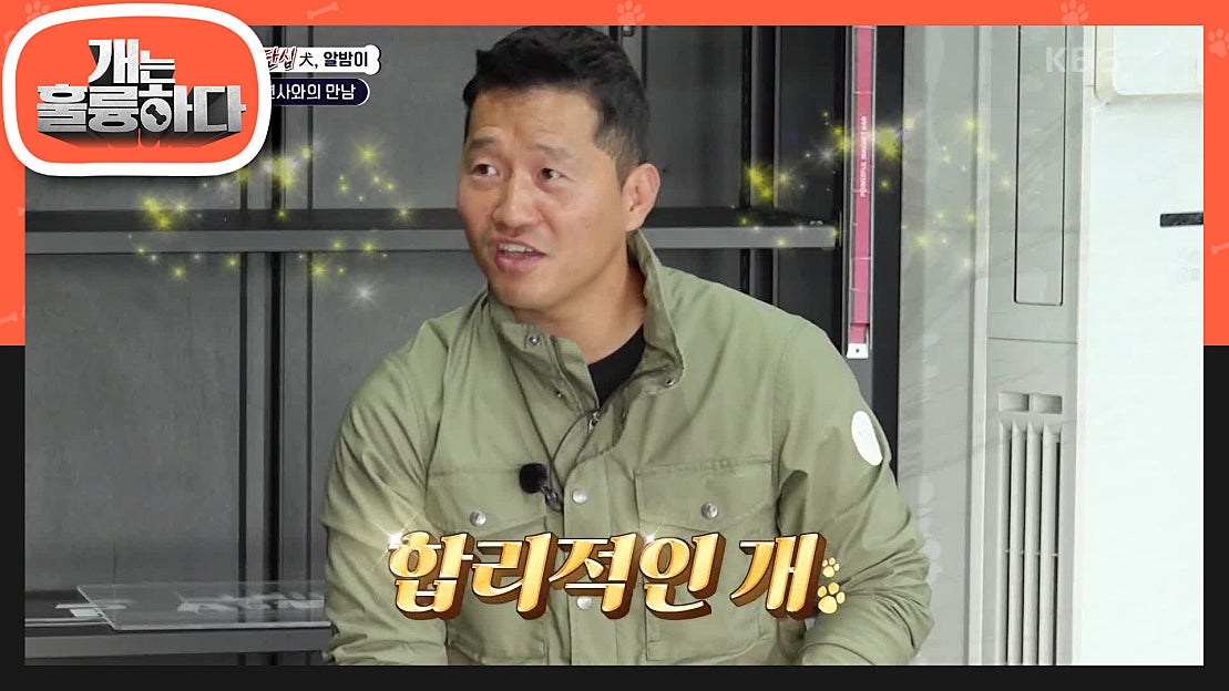 큰형 보호자의 가장 큰 고민 강 훈련사가 생각하는 알밤이는 합리적이고 멋진 개 Kbs 231120 방송 네이버 Tv