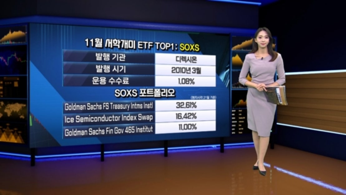 11월 24일 서학개미 순매수 상위 ETF Top5 [글로벌 시황&이슈] - 네이버 TV