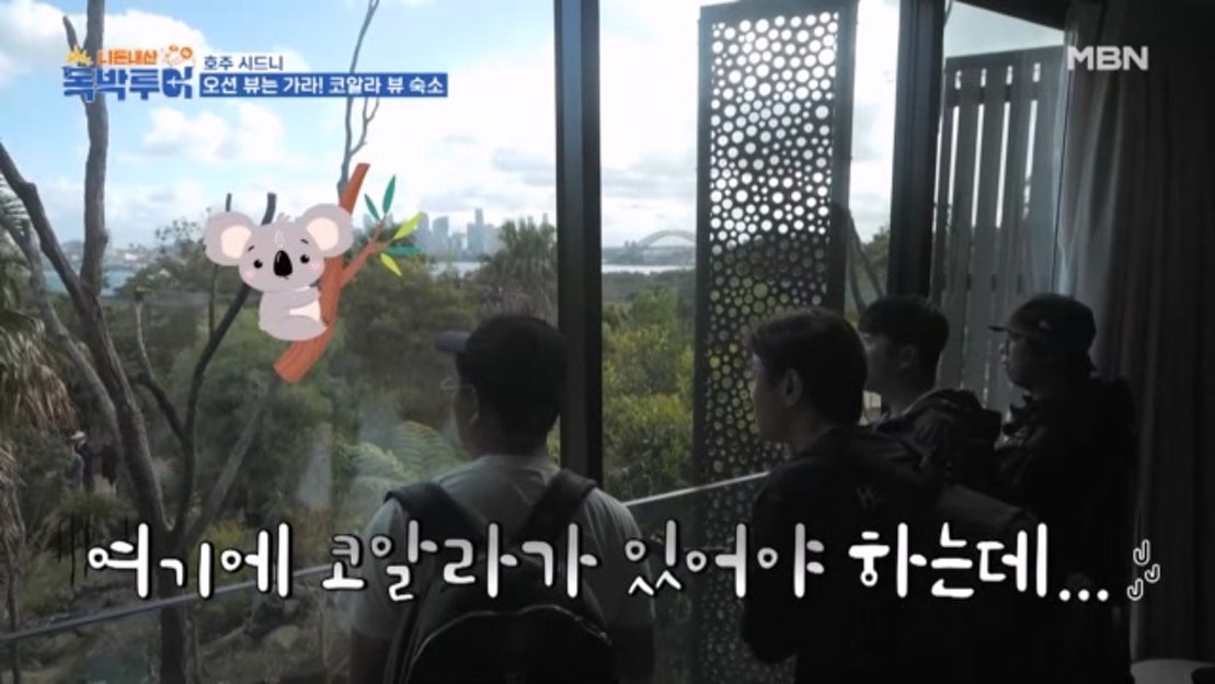 호텔방에서 코알라랑 눈 마주치는 거 어떤데. MBN 231125 방송 - 네이버 TV