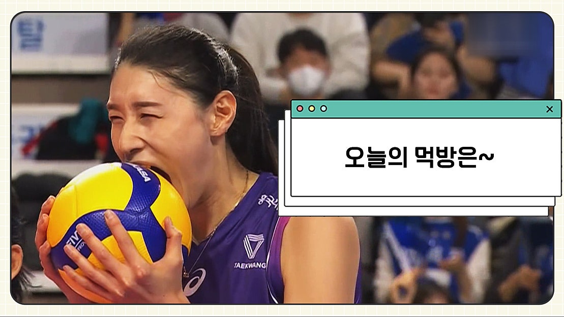 '너무 많아서 고르기도 힘들다' 이번엔 어떤 짤들이?! [KOVO.GIF] - 네이버 TV