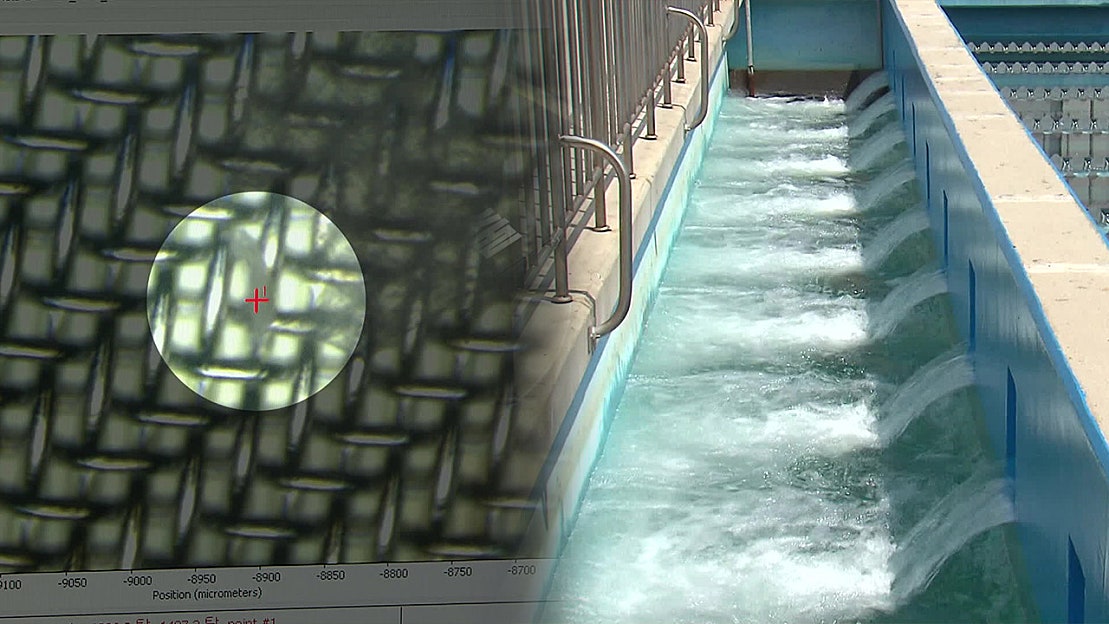 식수서 미세플라스틱 검출되지만…안전기준 없어 - 네이버 TV