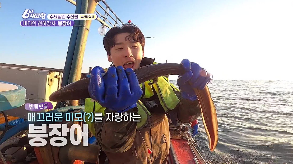 [수요일엔 수산물] 바다의 천하장사, 붕장어 | KBS 240131 방송 - 네이버 TV