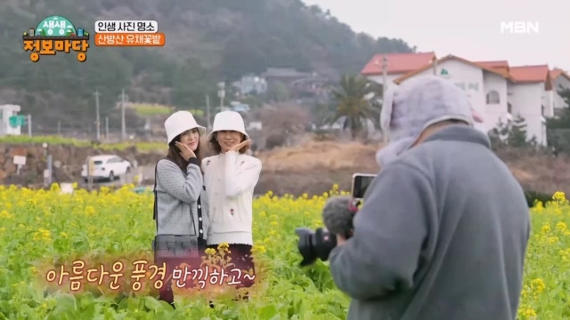 제주도 가족 나들이로 딱 좋다!! MBN 240130 방송 - 네이버 TV