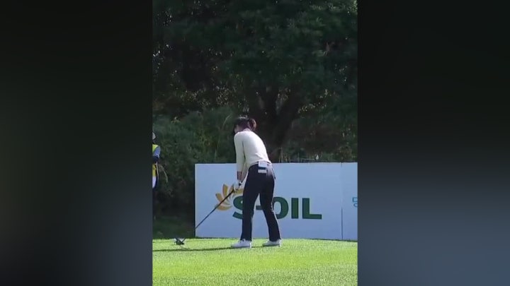 2R 6번홀 이제영 티샷 [S-OIL 챔피언십 2023] - 네이버 TV