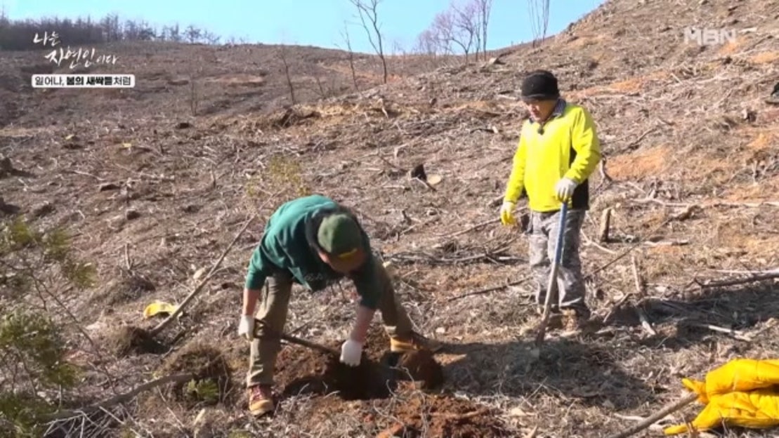 윤택의 삽질에 놀란 자연인! 알고보니 OO출신!?? MBN 240214 방송 - 네이버 TV