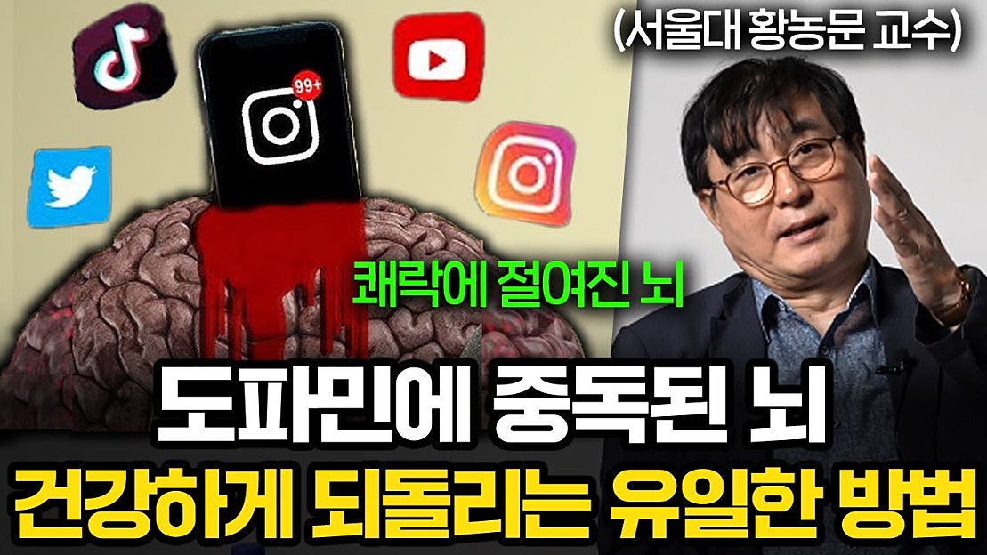 97는 스마트폰 잘못 쓰고 있어요 나도 모르게 망가진 뇌 유일한 회복방법 황농문 교수 네이버 Tv
