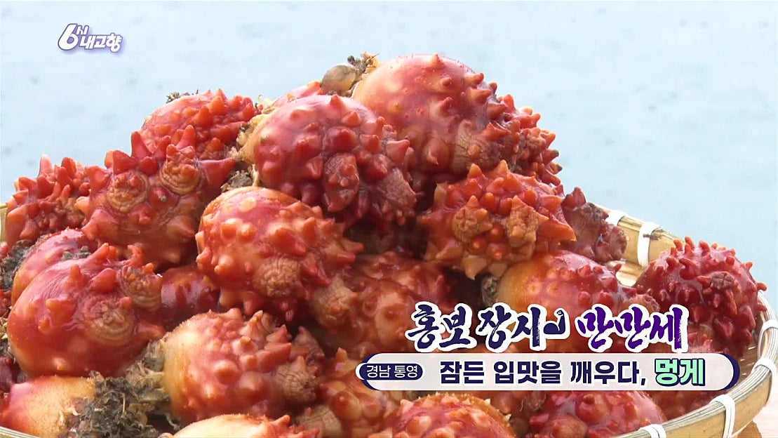 [홍보 장사 만만세] 잠든 입맛을 깨우다, 멍게 | KBS 240305 방송 - 네이버 TV