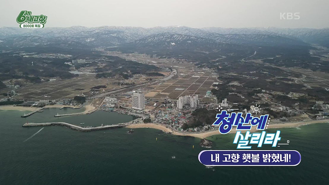 [청산에 살리라] 내 고향 횃불 밝혔네! | KBS 240314 방송 - 네이버 TV