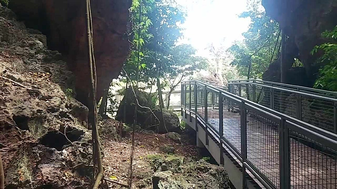 사이판 칼라베라 동굴 - 사이판 동굴, 칼라베라 동굴, Kalabera Cave, 사이판 렌터카, 사이판 - 네이버 TV