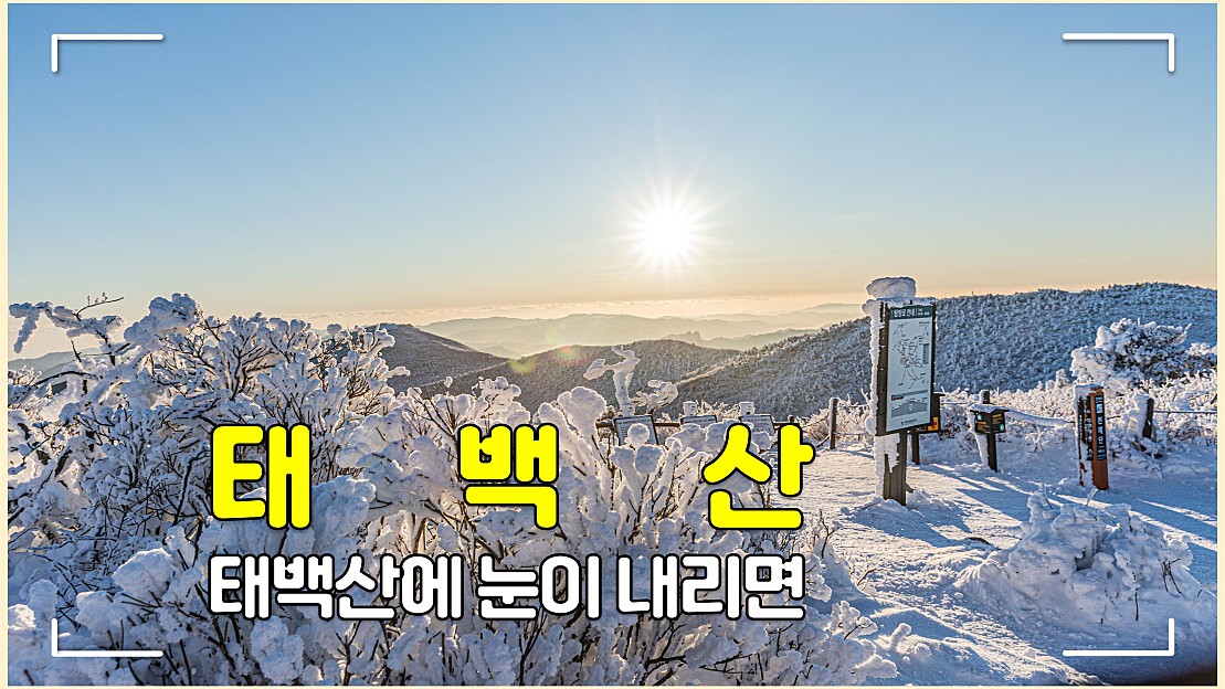 태백산 등산코스 태백 여행 코스 태백 가볼만한곳 태백산 국립공원 네이버 Tv