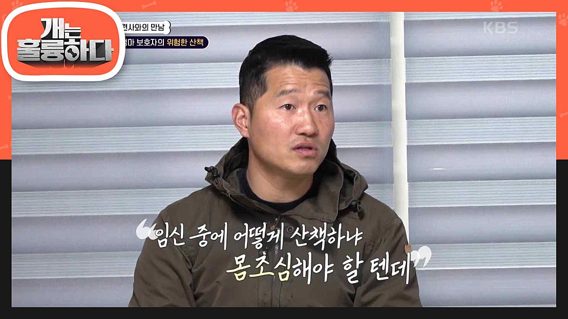 강 훈련사가 염려되는 마음이의 고민 행동은 만삭인 엄마 보호자의 위험한 산책😥 Kbs 240401 방송 네이버 Tv
