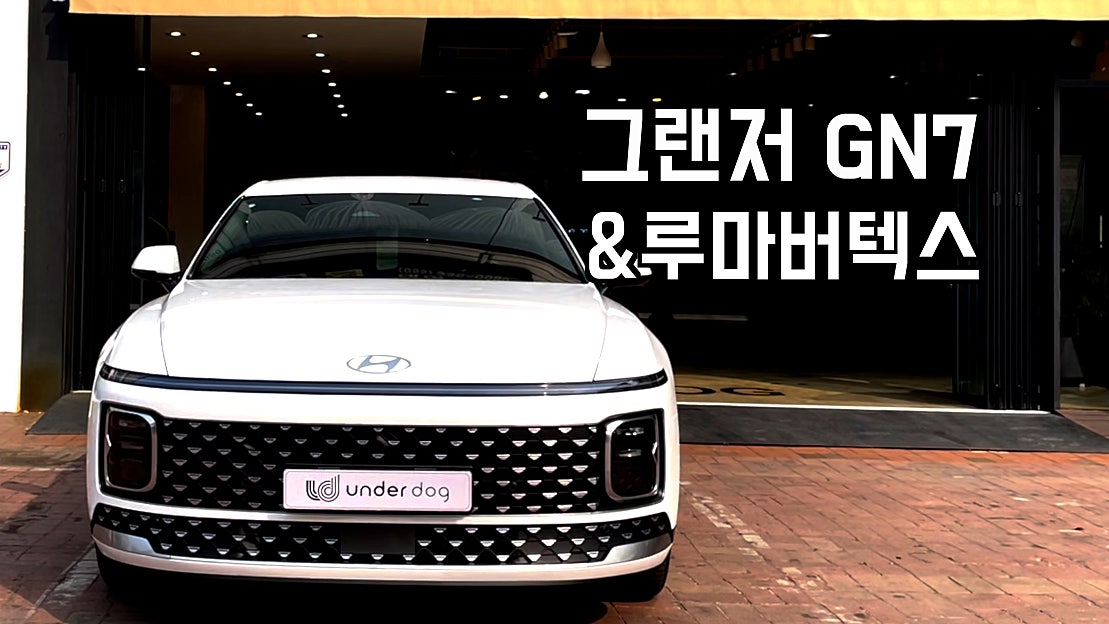 그랜저GN7 루마버텍스 900 국민농도 30/15 - 네이버 TV