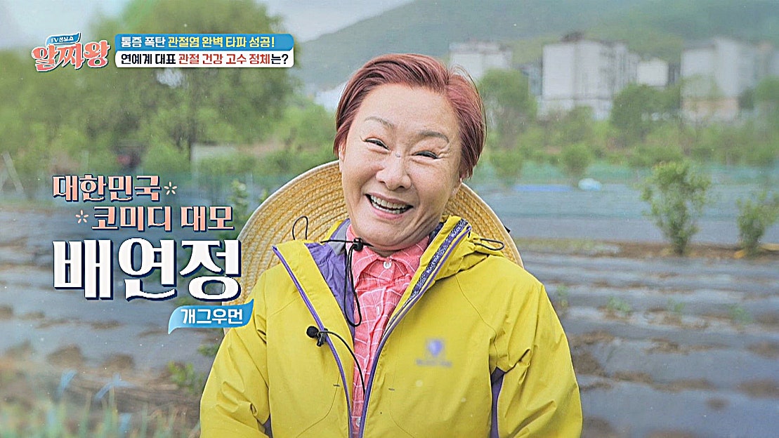 통증 폭탄 '관절염'을 완벽 타파한 개그우먼 배연정😎 그 비결은? | JTBC 240502 방송 - 네이버 TV