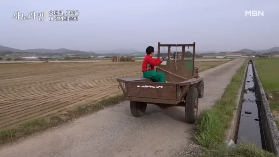 낭만 가득~ 나는 당신이랑 경운기 데이트할 때가 제일 좋더라♥ MBN 240512 방송 - 네이버 TV