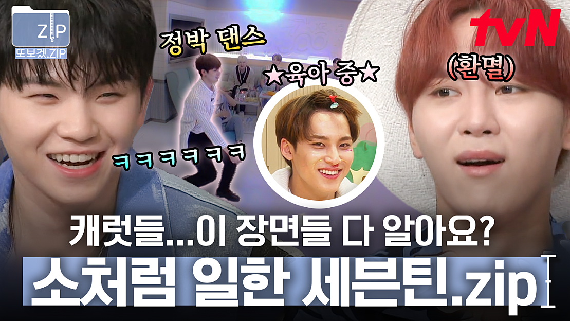 (130분) ＂캐럿들 이 장면 알죠💙＂ tvN 예능 찢어버린 세븐틴 대활약 총 모음zip📁 느슨해진 예능씬에 긴장감을 주는 美친 달란트 셉틴이들 | 놀라운토요일 - 네이버 TV