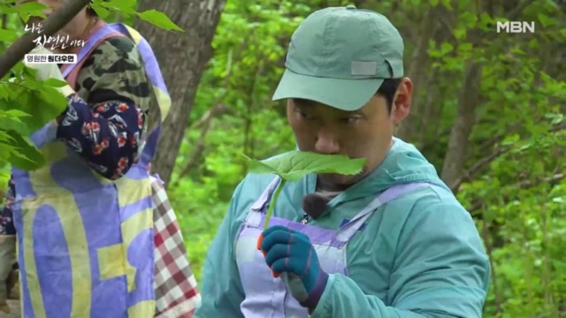 보물 찾으러 가자~! 산나물 따다가 숨은그림찾기까지 한 이승윤?! MBN 240522 방송 - 네이버 TV