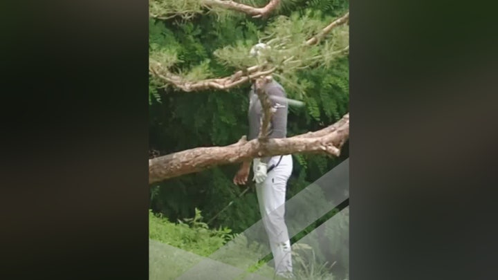 사실 노렸습니다 [KB금융 리브챔피언십 3R] - 네이버 TV