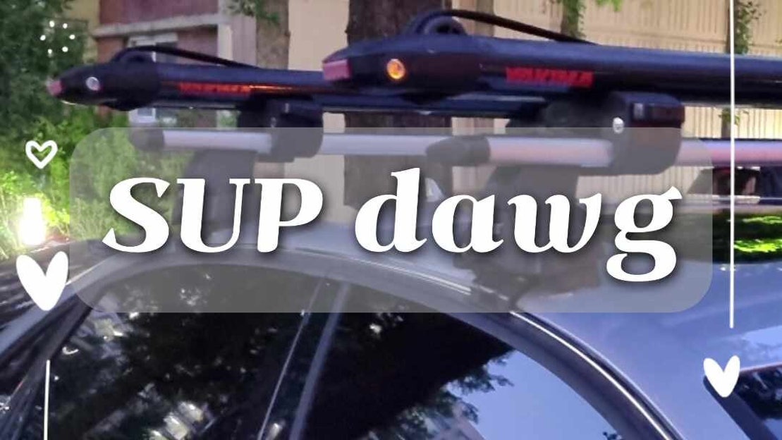 SUP dawg의 장점 - 네이버 TV