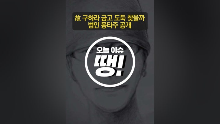 故 구하라 금고 도둑 찾을까 범인 몽타주 공개 네이버 Tv