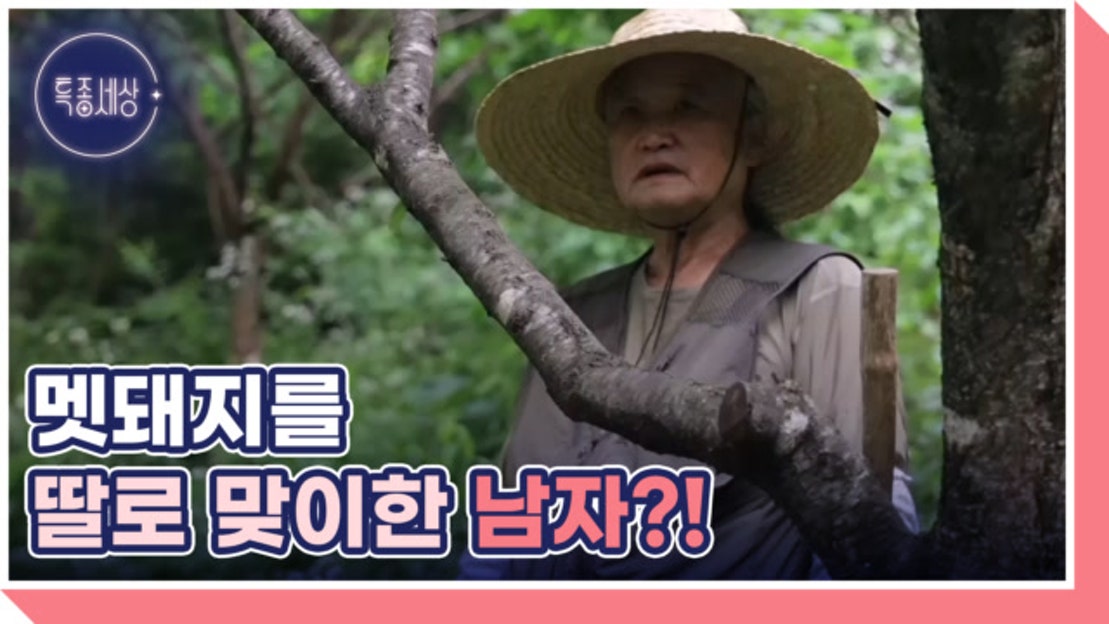 매일 밤 멧돼지를 걱정하는 남자 MBN 240704 방송 - 네이버 TV
