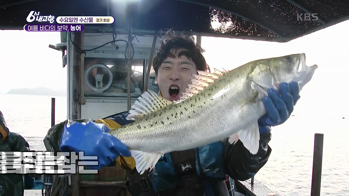 [수요일엔 수산물] 여름 바다의 보약, 농어 | KBS 240710 방송 - 네이버 TV