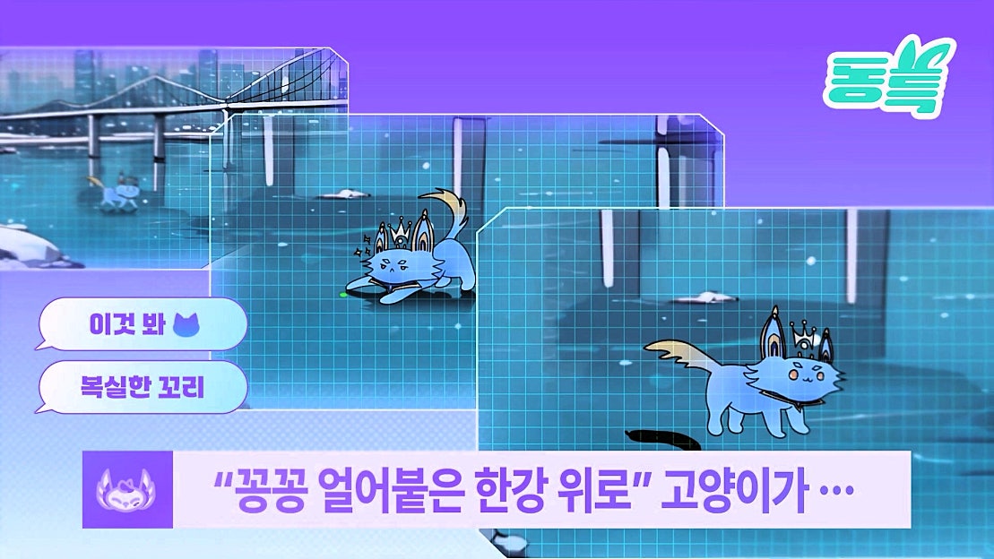 롤 LOL 리그오브레전드 동물특공대 QWER ANIMA POWER - 네이버 TV