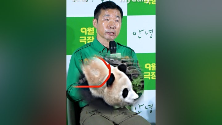 학대 논란 푸바오🐼 보고 온 강바오의 생각은 네이버 Tv