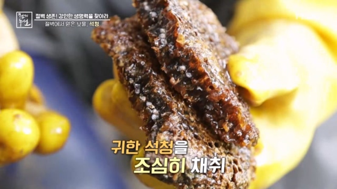 절벽에서 얻은 보물, 석청 MBN 240816 방송 - 네이버 TV