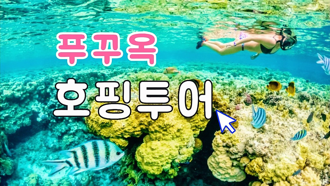 베트남 푸꾸옥 호핑투어 추천 낚시 오징어잡이 선셋타운 호핑투어까지 남부 오션투어의 모든것 네이버 Tv