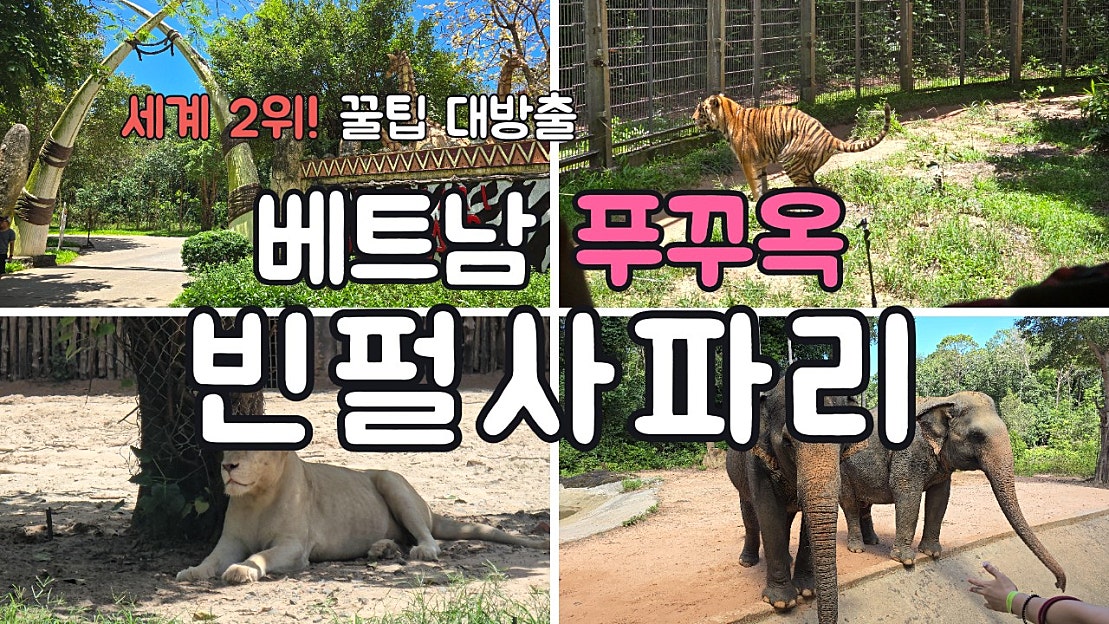 베트남 푸꾸옥 가족여행 빈펄사파리 상세리뷰 트램 사파리투어 네이버 Tv