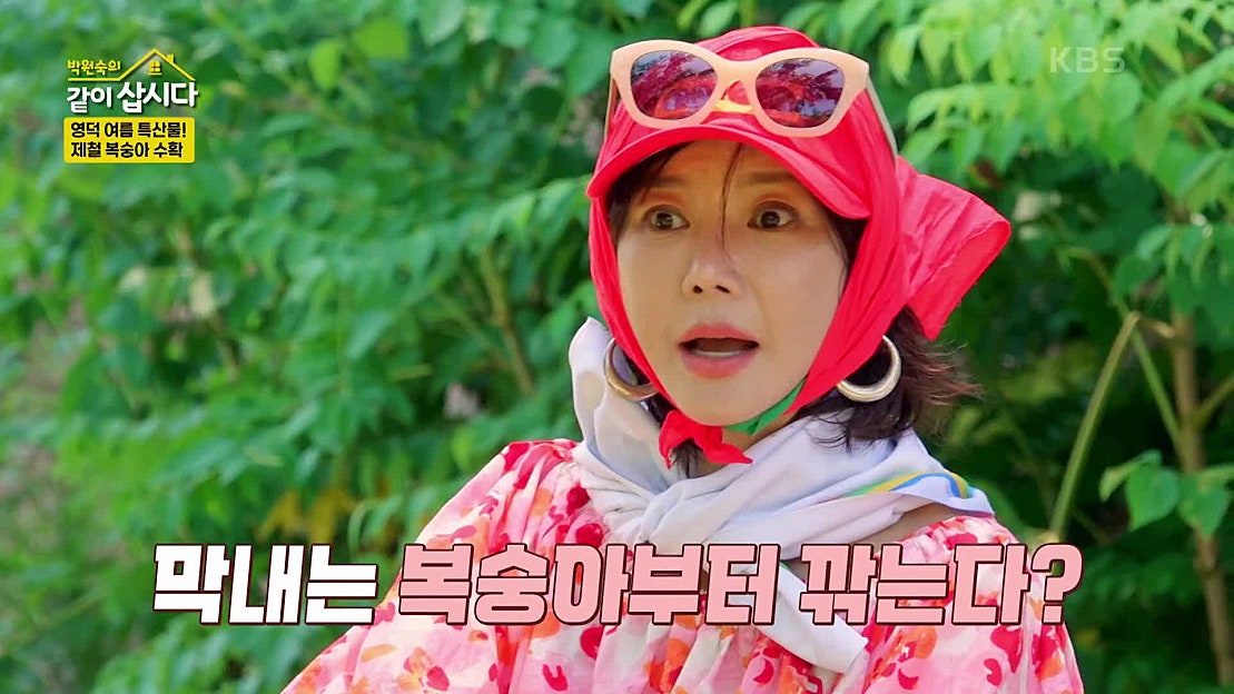 나무랄 데 없는 복숭아 나무?! 빠져드는 은숙의 아재개그🤣 | KBS 241003 방송 - 네이버 TV