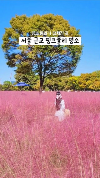 하남 서울 근교 핑크뮬리 명소 10월 가볼만한곳 미사경정공원 위치 주차 네이버 블로그