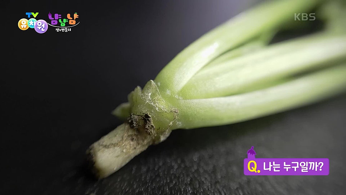 [샘과 벤틀리의 냠냠냠] 몸을 더욱 튼튼하게 해줄 오늘의 친구는?! | KBS 241010 방송 - 네이버 TV