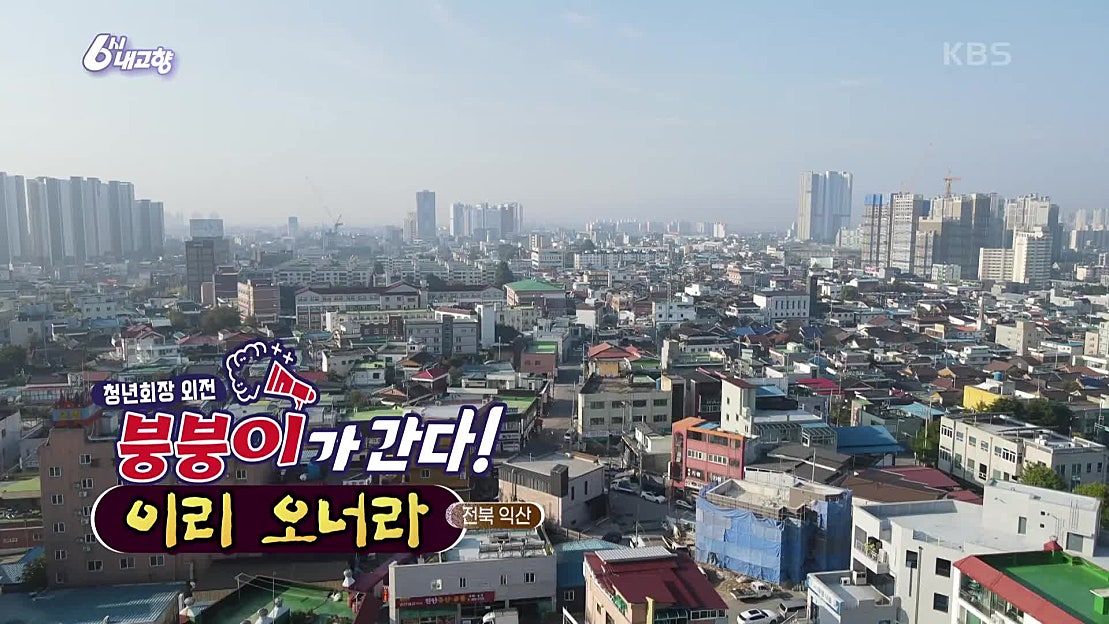 [붕붕이가 간다!] 이리 오너라 | KBS 241021 방송 - 네이버 TV