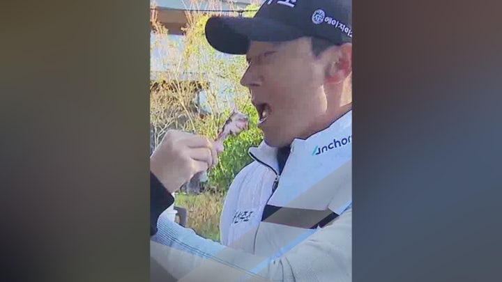 가족들과 함께 보내는 패밀리 데이! [KPGA 투어챔피언십 1R] - 네이버 TV