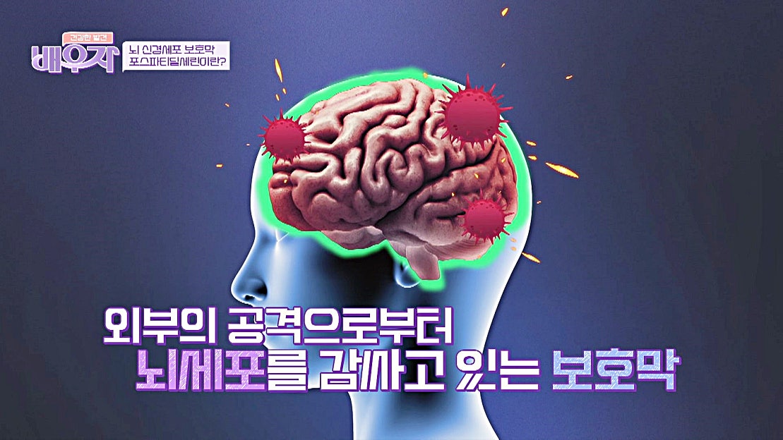 치매 예방을 위해 챙기자! 뇌 신경세포 보호막 '포스파티딜세린'이란? | JTBC 241119 방송 - 네이버 TV