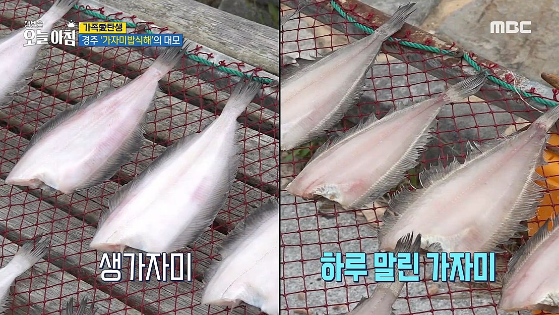 경주 '가자미밥식해'의 대모!, MBC 241120 방송 - 네이버 TV