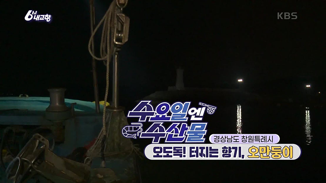 [수요일엔 수산물] 오도독! 터지는 향기, 오만둥이 | KBS 241120 방송 - 네이버 TV