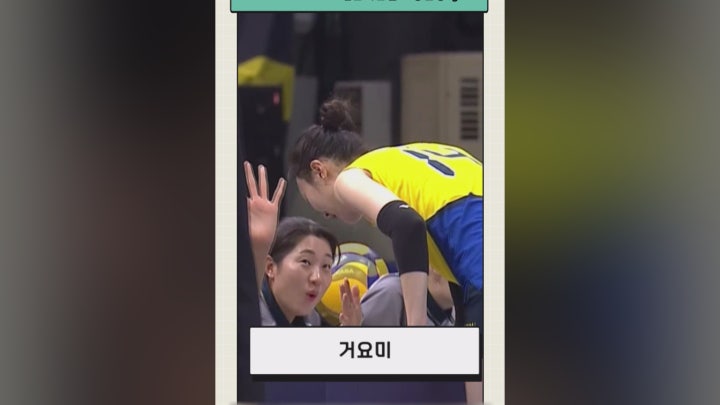 '거요미' V-리그 짤 모음 [KOVO.GIF] - 네이버 TV