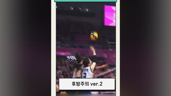 '후방 주의!!!' V-리그 짤 모음 [KOVO.GIF] - 네이버 TV