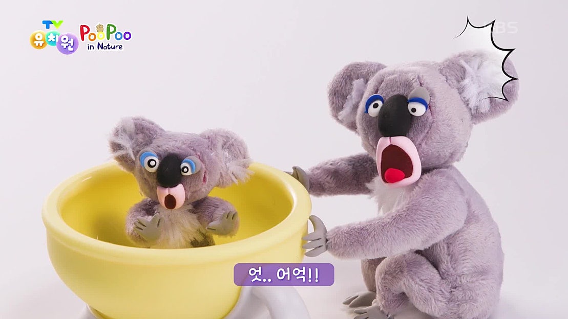 [Poo Poo in Nature] Baby Koala! (Eng Ver.) | KBS 241204 방송 - 네이버 TV