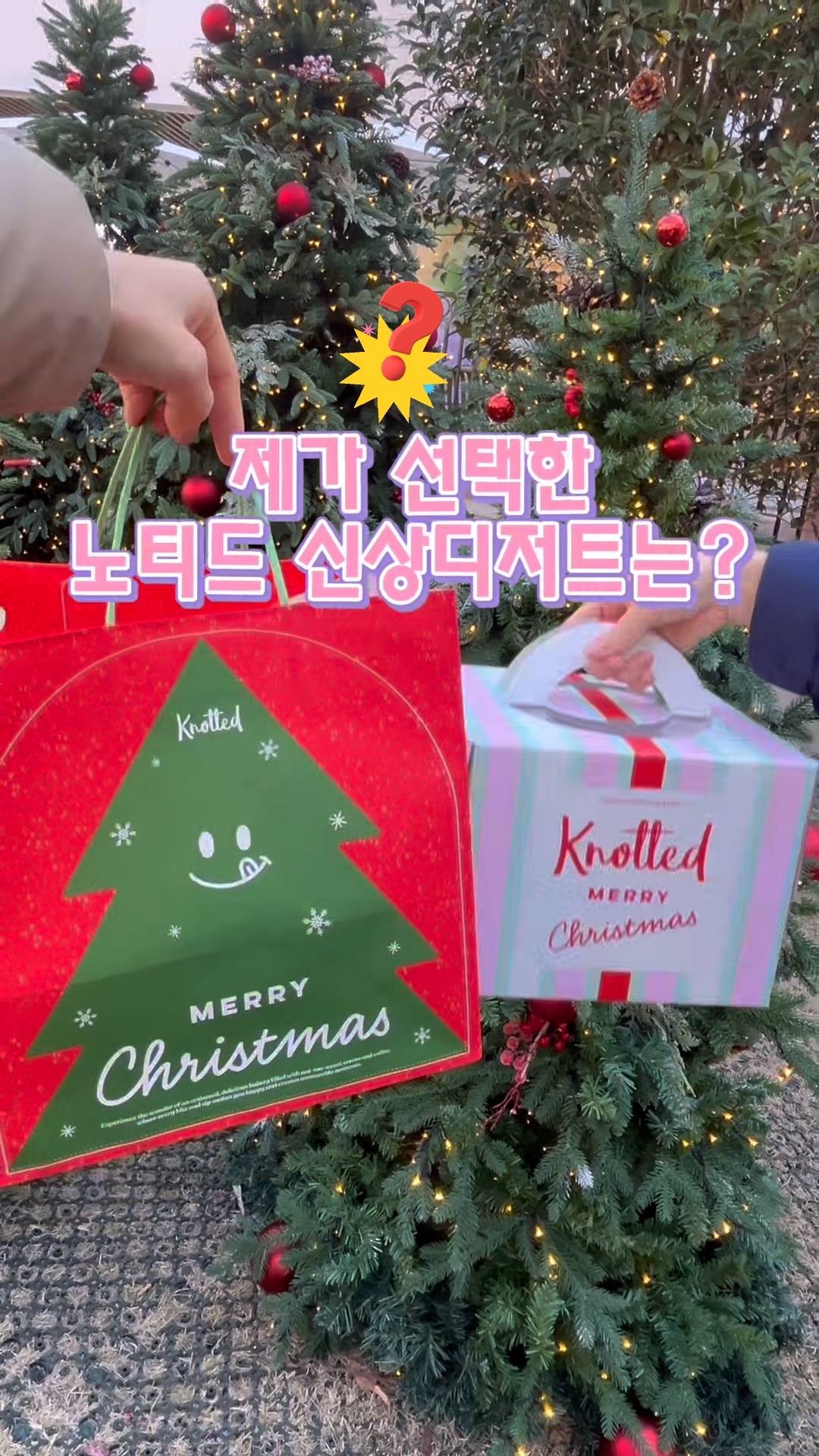 노티드 크리스마스 케이크 사전 예약 방법 신상디저트 출시 부산프리미엄아울렛 : 네이버 블로그