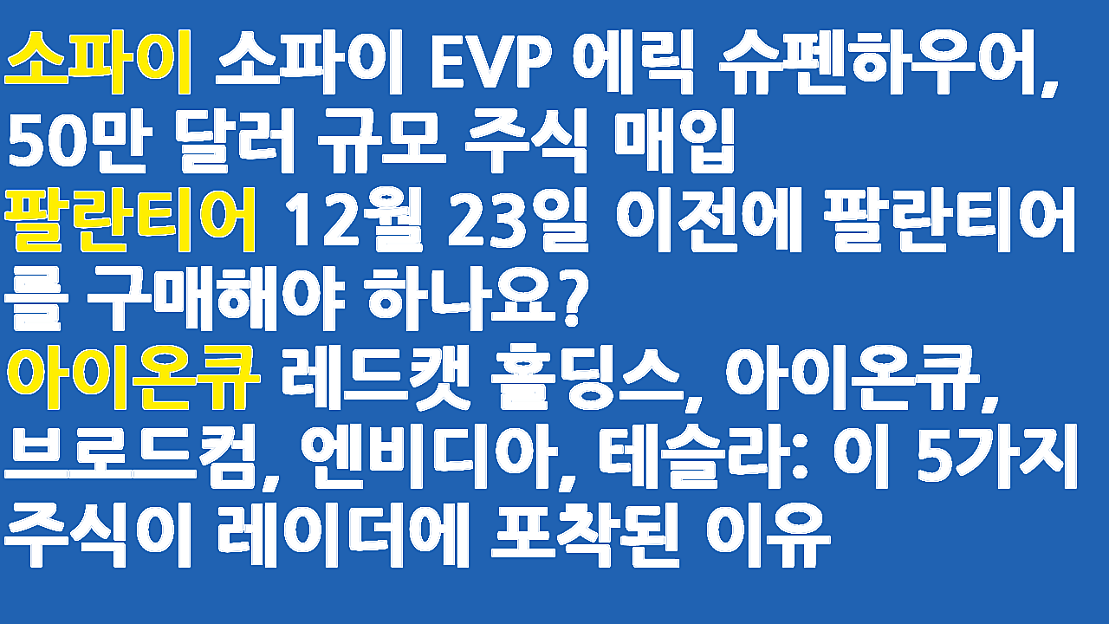 소파이(SOFI), 팔란티어(PLTR), 아이온큐(IONQ) - 네이버 TV