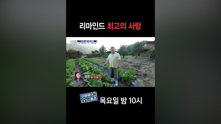 [홈즈후공개] 리마인드 최고의 사랑, MBC 241212 방송 - 네이버 TV