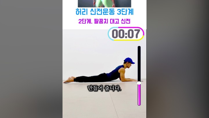 허리디스크에 좋은 척추 신전운동 요추전만 자세 척추의신 정선근 교수님 추천운동 네이버 Tv