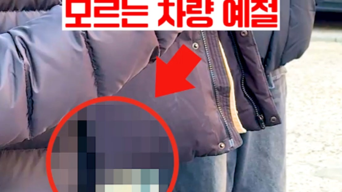 MZ 90%가 모르는 차량 예절🚙🙇🏼‍♀️👋🏻 - 네이버 TV