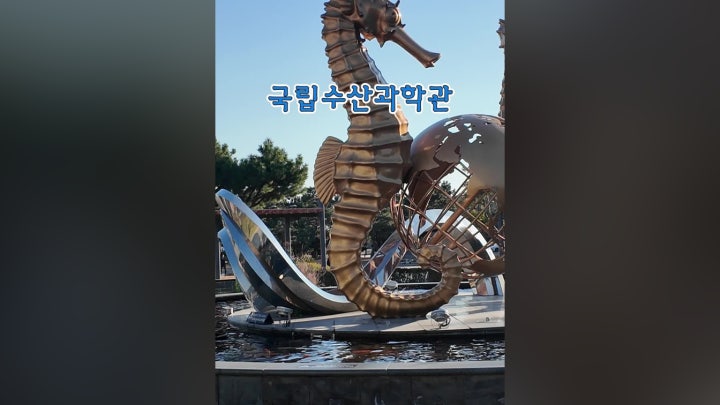부산 국립 수산과학원 수산과학관 기장 놀거리 아이와 가볼만한 곳 힐링 여행 네이버 Tv