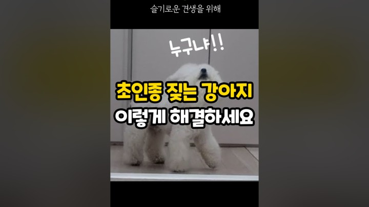 세나게 설채현 수의사님의 놀라운 초인종 네이버 Tv